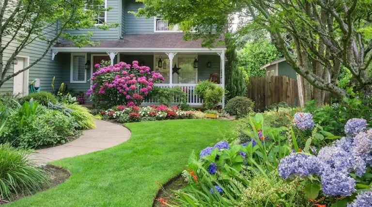 When to Fertilize Perennials & Shrubs: 4-Step Guide | TBGI